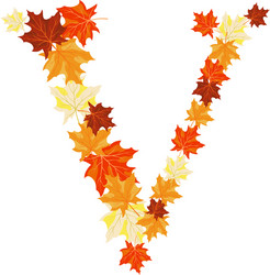 Autumn banner with leaves Royalty Free Vector Image