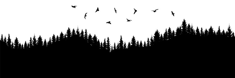 Forest Skyline Black and White Vector Images (over 230)
