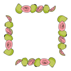 Guava Vector Images (over 3,900)