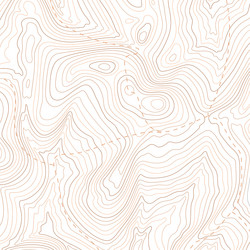Topographic map patterns topography line map Vector Image