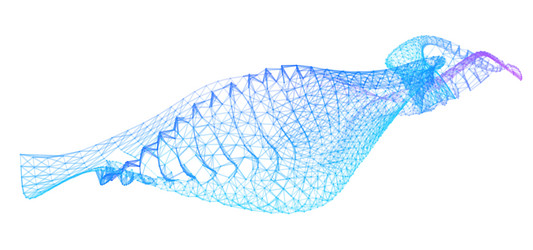 Network lines net wave information flow Royalty Free Vector