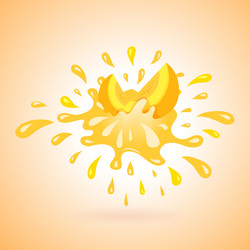 Half melon with splash color Royalty Free Vector Image