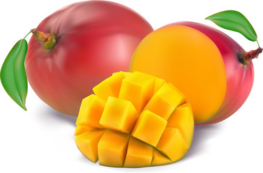 Mango Vector Images (over 22,000)