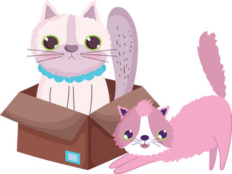 A cat inside the box Royalty Free Vector Image