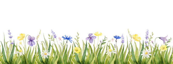 Spring grass seamless border floral Royalty Free Vector