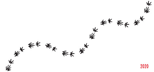 Rat Footprint Vector Images (over 110)