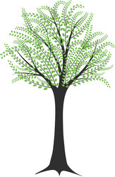 Tree Stem Vector Images (over 32,000)