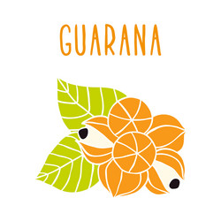 Guarana Vector Images (over 250)