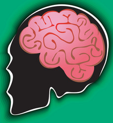 Motor Cortex Vector Images (68)