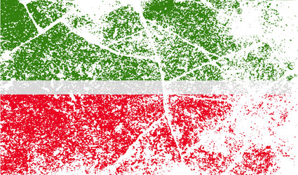 Flag of tatarstan with old texture Royalty Free Vector Image