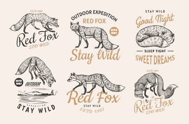 Fox Hunting Logo Vector Images (over 2,000)
