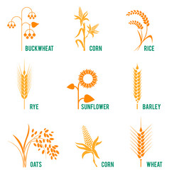 Crops Logo Vector Images (over 17,000)