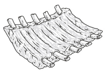 Vintage Anatomical Ribs Left Side Drawing Vector Image