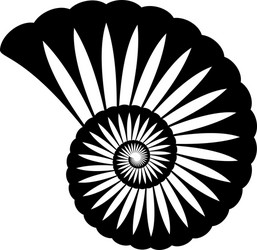 Clam shell silhouettes Royalty Free Vector Image