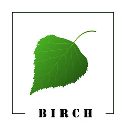 Birch Logo Vector Images (over 1,400)