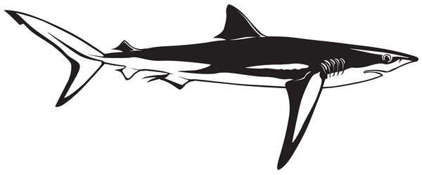 Shark Outline Vector Images (over 7,600)