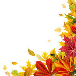 Autumn white banner decorated with fallen leaves Vector Image