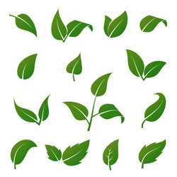 Green leaves simple icons Royalty Free Vector Image