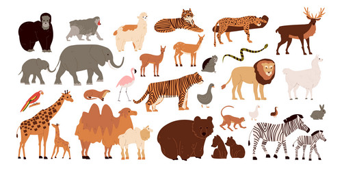 Match animal species and continents educational Vector Image