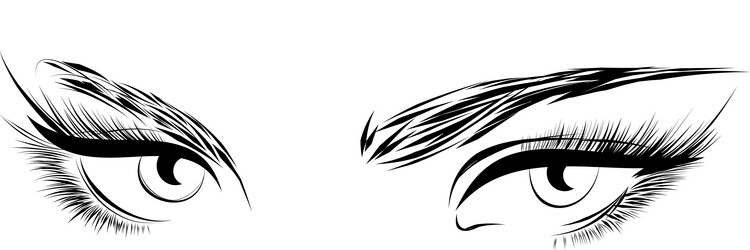 Female eyes drawing long eyelashes Royalty Free Vector Image