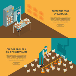Poultry farm isometric flowchart Royalty Free Vector Image