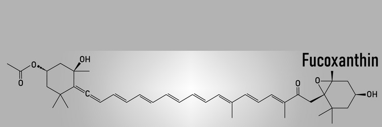 Fucoxanthin molecule skeletal formula Royalty Free Vector