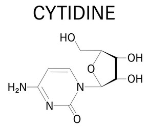 Cytidine molecule skeletal formula Royalty Free Vector Image