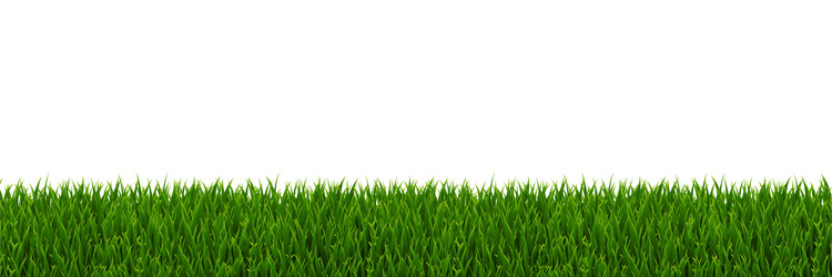 Land and Grassland Border Vector Images (over 710)