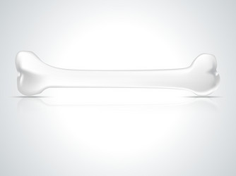 Bone Vector Images (over 190,000)