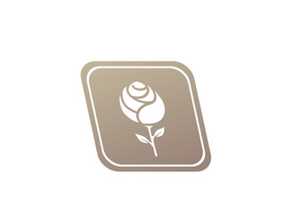Rose with leaves and long leg flower in shape Vector Image