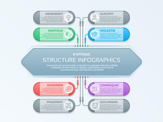 Infographic template a rectangle with 8 parts Vector Image
