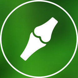 Knee joint sign icon bone health human Royalty Free Vector