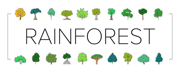 Rainforest jungle amazon nature icons set Vector Image