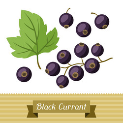 3d of fresh and ripe blackcurrants isolated Vector Image