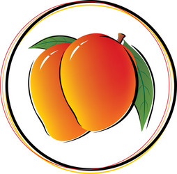 Yellow mango fresh fruit 3d realistic icon Vector Image