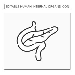 Pancreas Icon Vector Images (over 3,500)