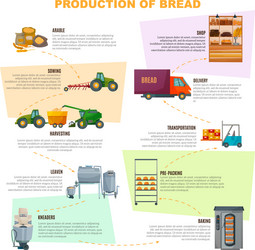 Bread production process stages from wheat harvest