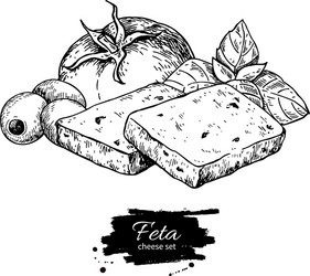 Cheese feta white food cartoon Royalty Free Vector Image