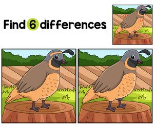 Bird animal find the differences Royalty Free Vector Image