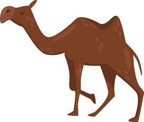 Detailed flat icon of egyptian camel Royalty Free Vector