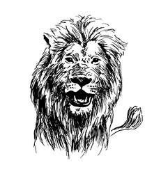 Lion Pride Drawing