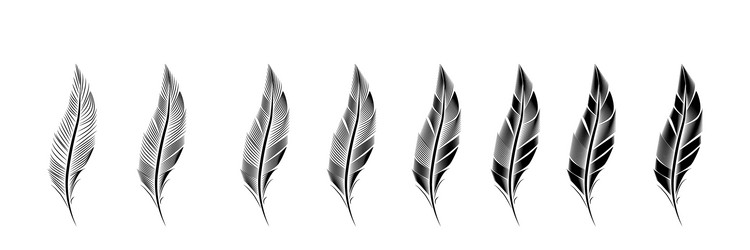 Collection feather drawing engraving ink line Vector Image