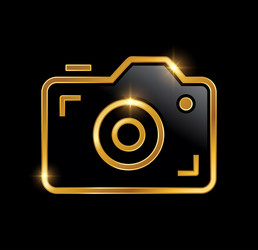 Gold and silver camera sign Royalty Free Vector Image