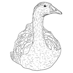 Goose Vector Images (over 28,000)