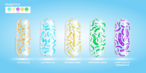 Probiotics lactic acid bacterium in milk Vector Image