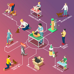 Animal shelter isometric flowchart Royalty Free Vector Image