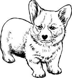 Hand drawing hipster animal dog meditating Vector Image