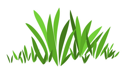 Sprite Sheets Grass