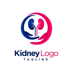 Kidney logo design concept urology template Vector Image