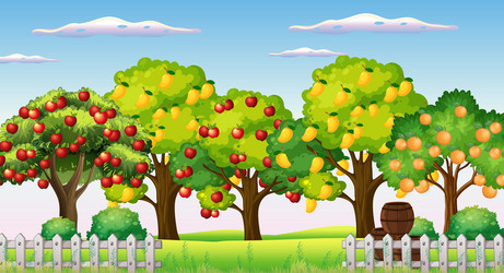 Farm scene with many apple trees Royalty Free Vector Image